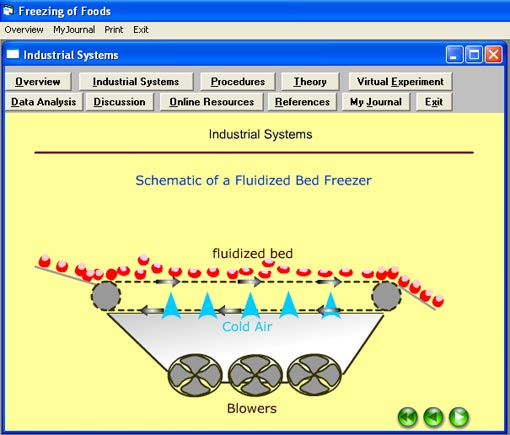 Virtual Experiments in Food Processing